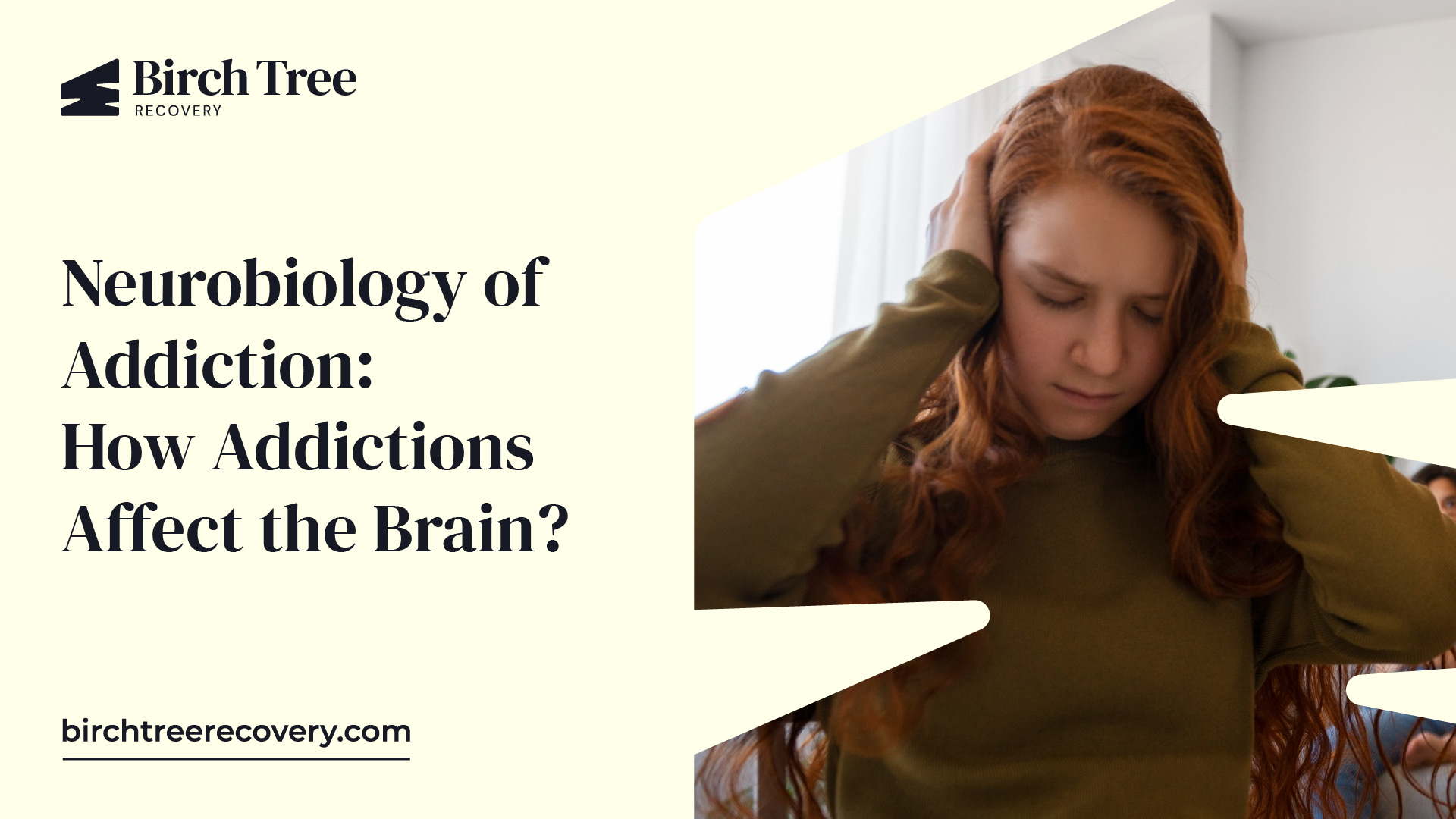 Neurobiology of Addiction: How Addictions Affect the Brain?